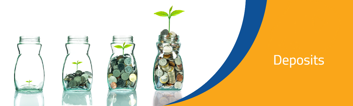 Federal Bank Fixed Deposits and Investment Plans